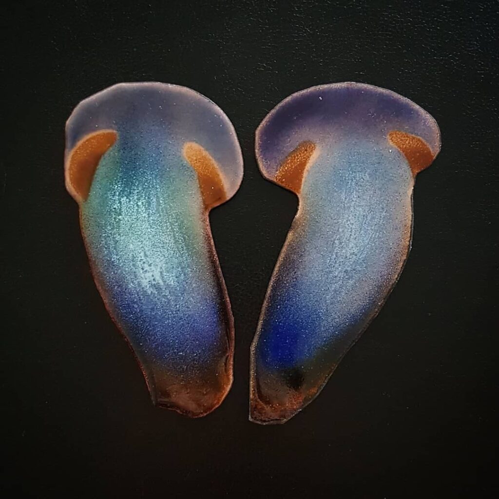 Cloud flowers - Geertje Geertsma